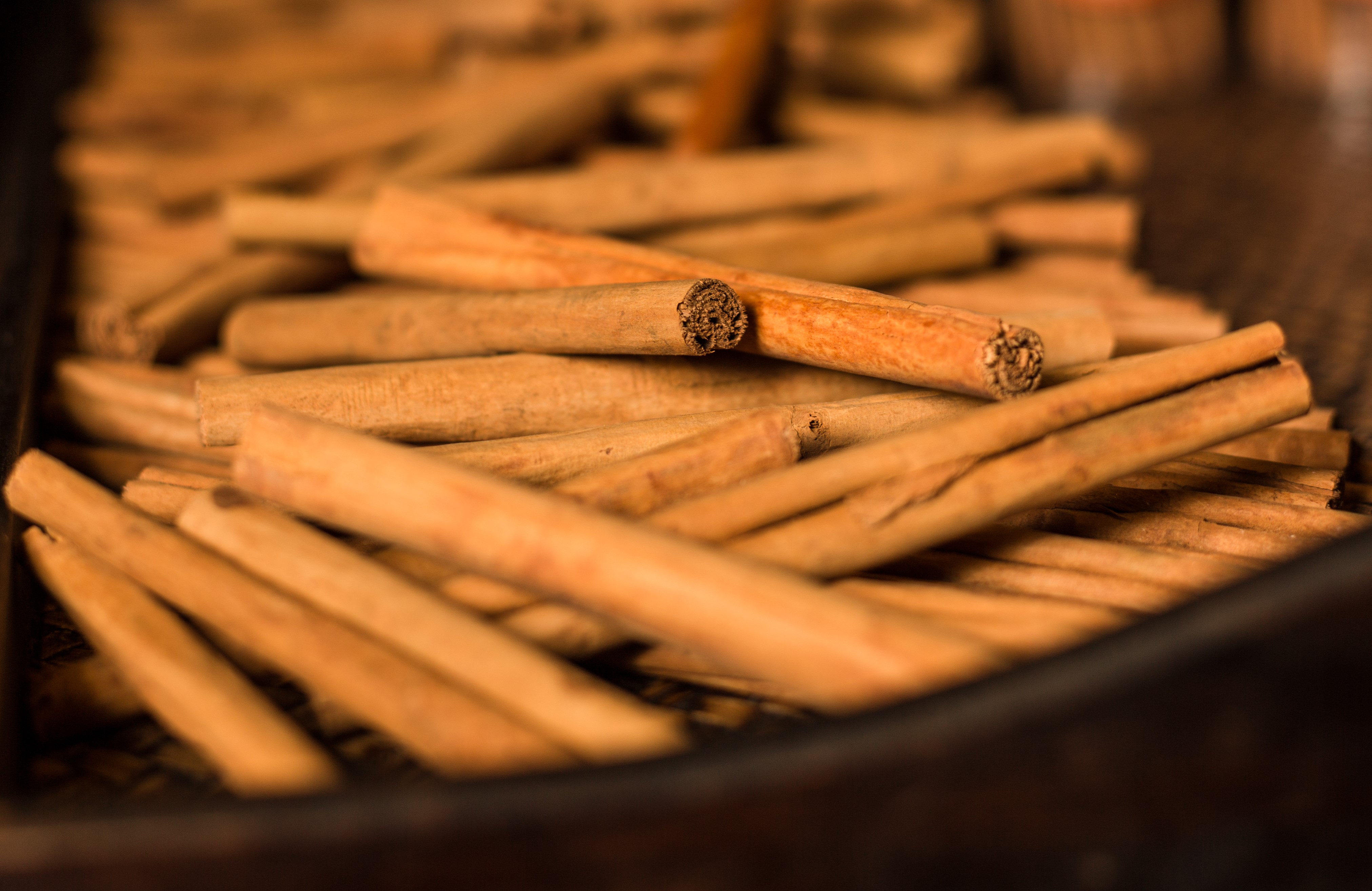 Ceylon Cinnamon Stick - C4 Grade